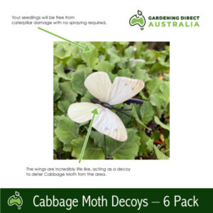 Cabbage Moth Decoys - 6 pack — Gardening Direct Australia